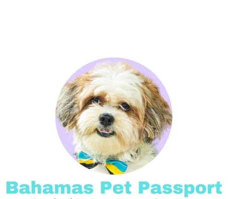 Bahamas Pet Passport – Pet travel throughout the bahamas